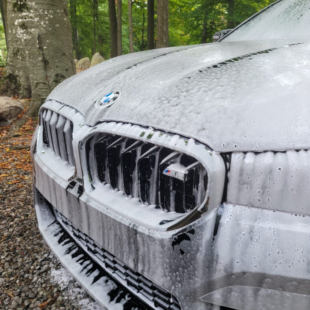 Auto Detailing Williamston MI | Fanatical Detail